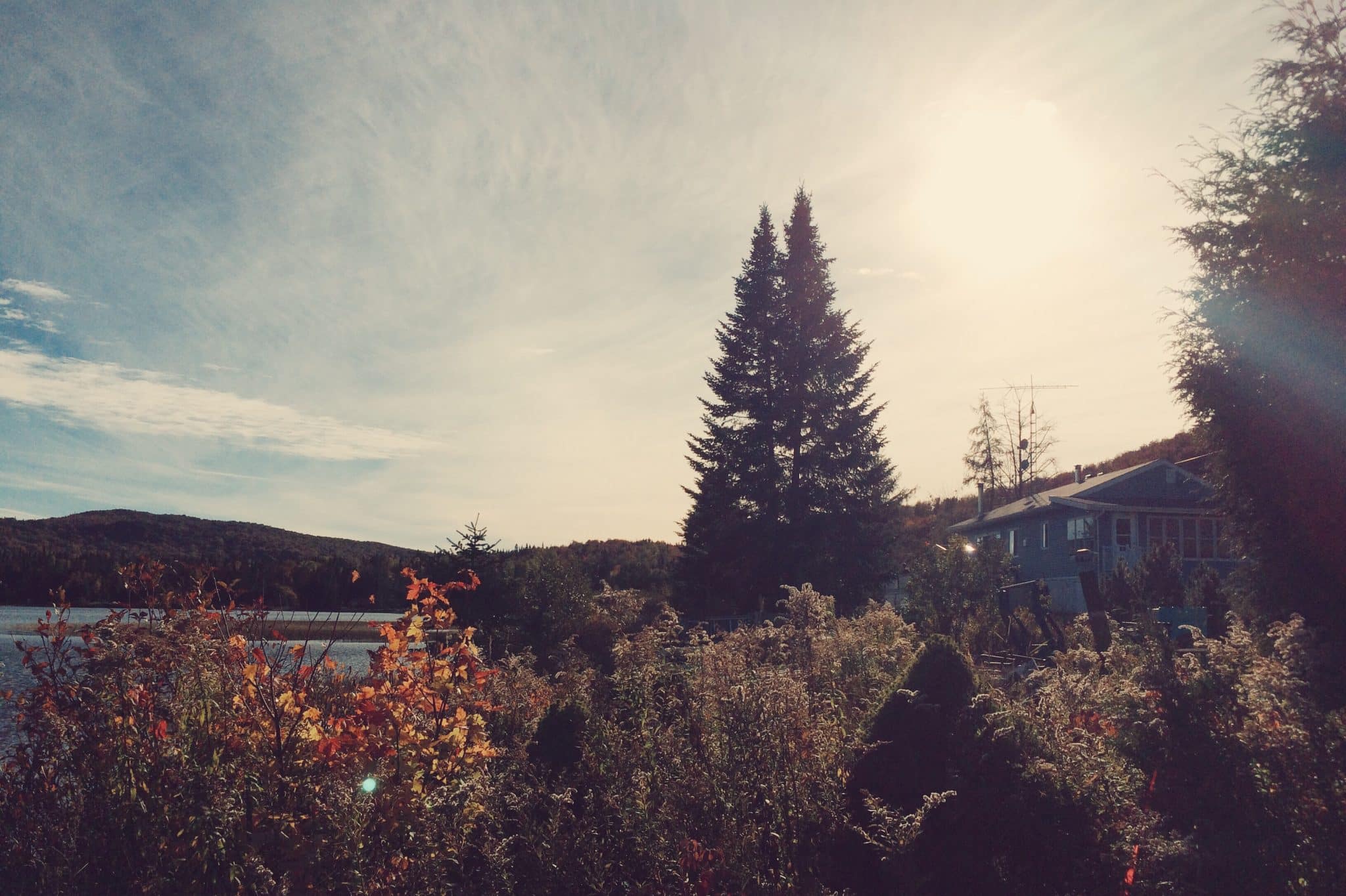 Les merveilles cachées : 5 parcs nationaux américains incontournables ...